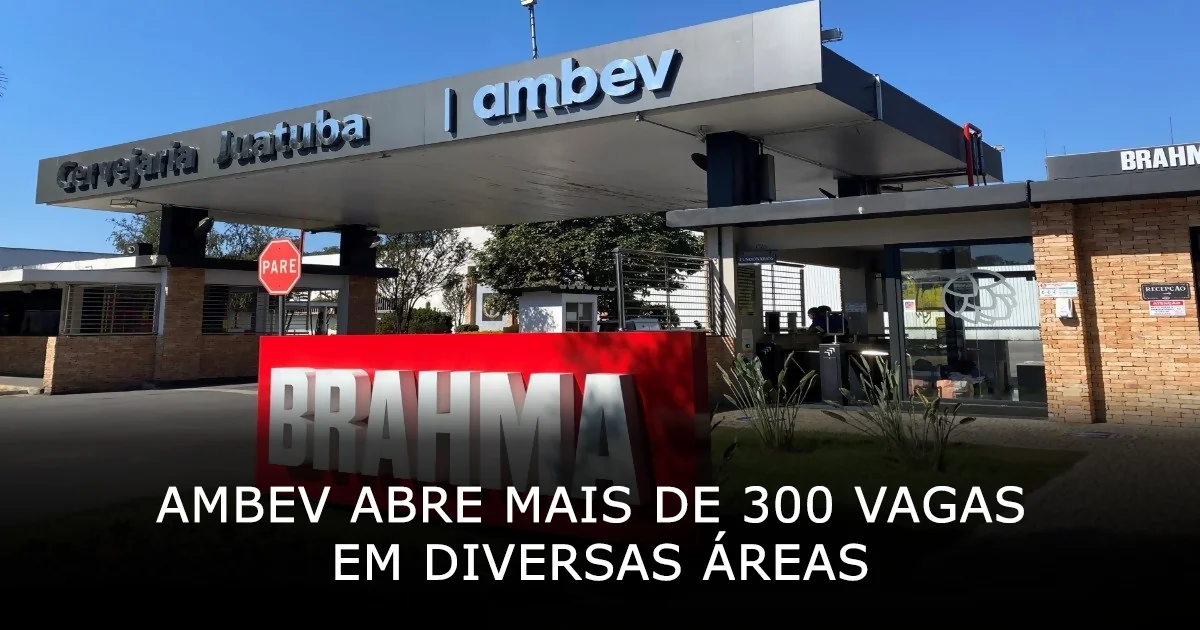 Ambev abre mais de 300 vagas em diversas áreas: veja como se candidatar
